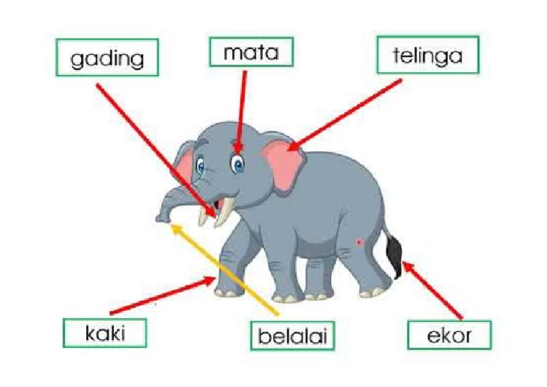 Bahagian Badan Gajah | PDF