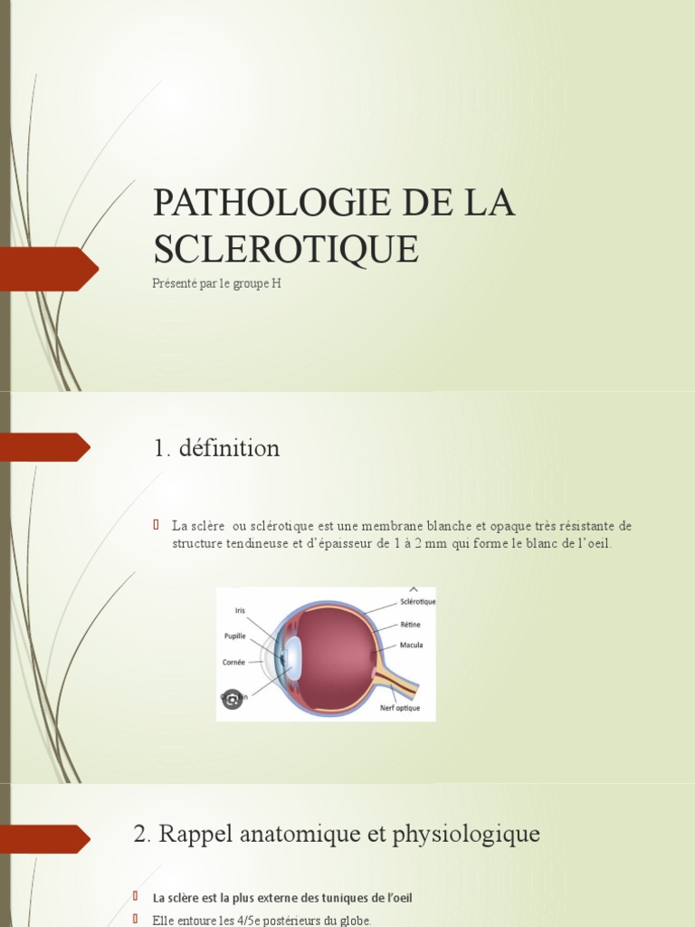 Pathologie de La Sclerotique | PDF