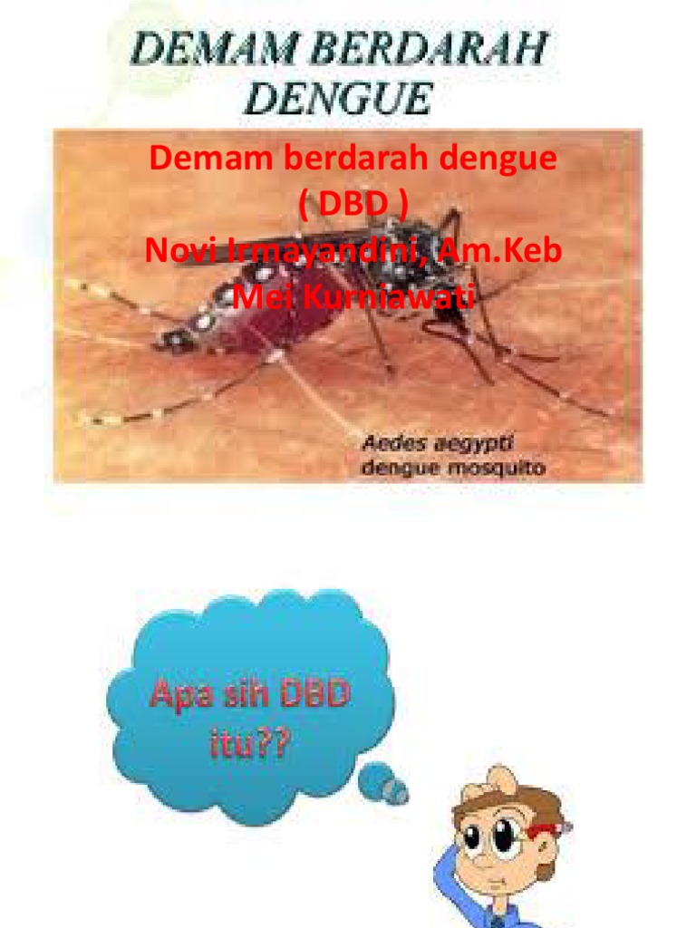 Penyebab dan Gejala Demam Berdarah DBD | PDF