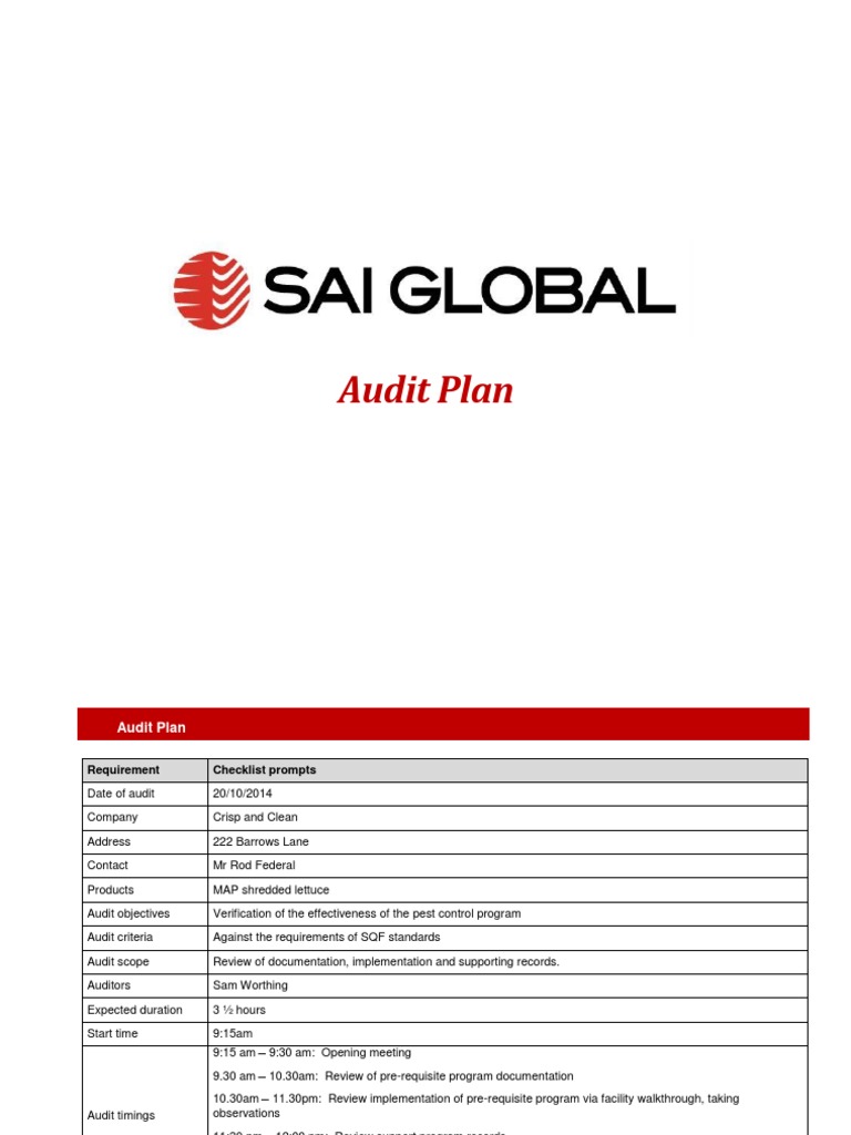 04 Audit Plan | PDF