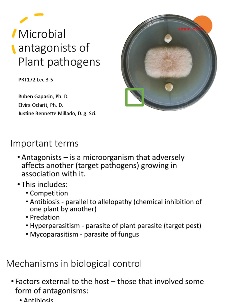 Microbial Antagonists in Plant Pathology | PDF | Plant Pathology | Pathogen
