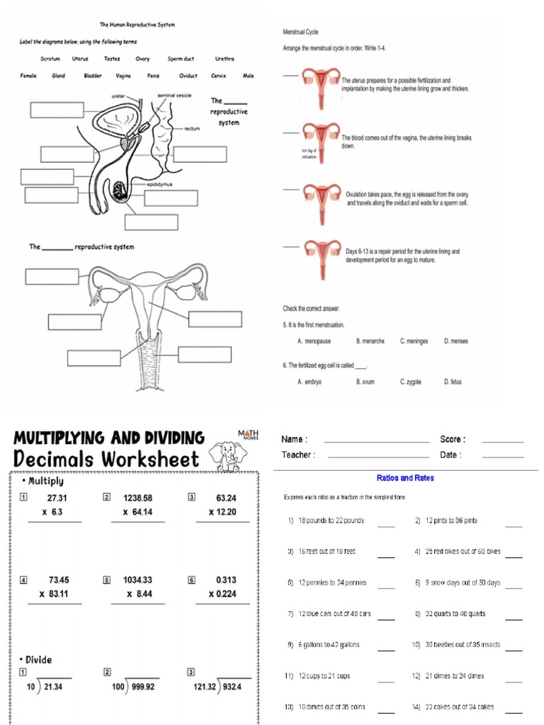 Grade 4 2nd Quarter Exam SPED | PDF