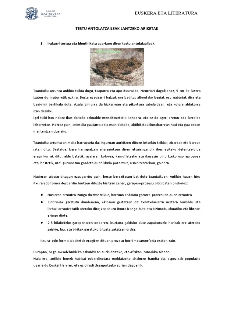 Testu Ariketak | PDF Testu Ariketak | PDF
