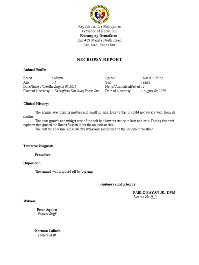 Necropsy Report August 2019 | PDF