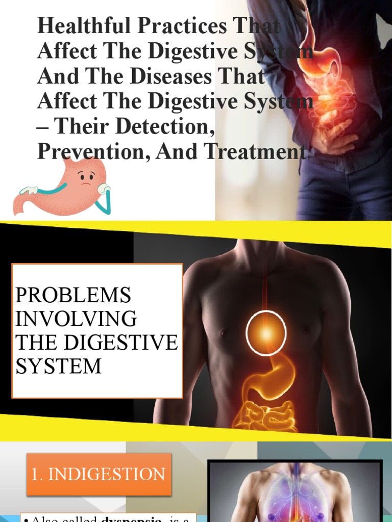 Healthful Practices That Affect The Digestive System and | PDF ...