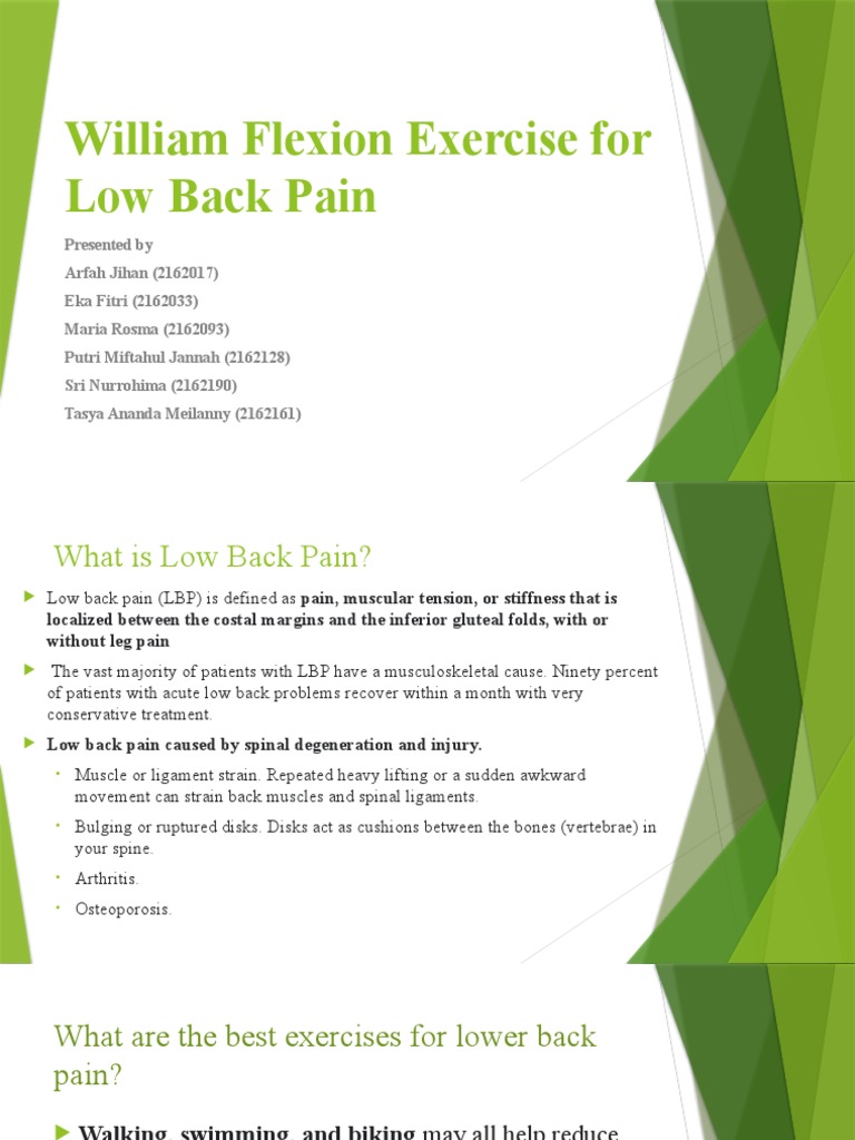 William Flexion Exercise for LBP | PDF | Human Leg | Low Back Pain
