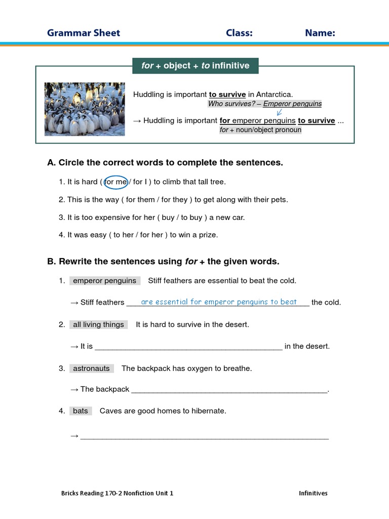 Bricks Reading 170 Nonfiction - L2 - Grammar Sheet | PDF | Verb ...