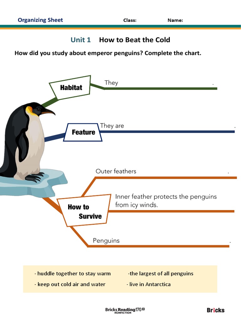 Bricks Reading 170 Nonfiction - L2 - Organizing Sheet | PDF | Leonardo ...