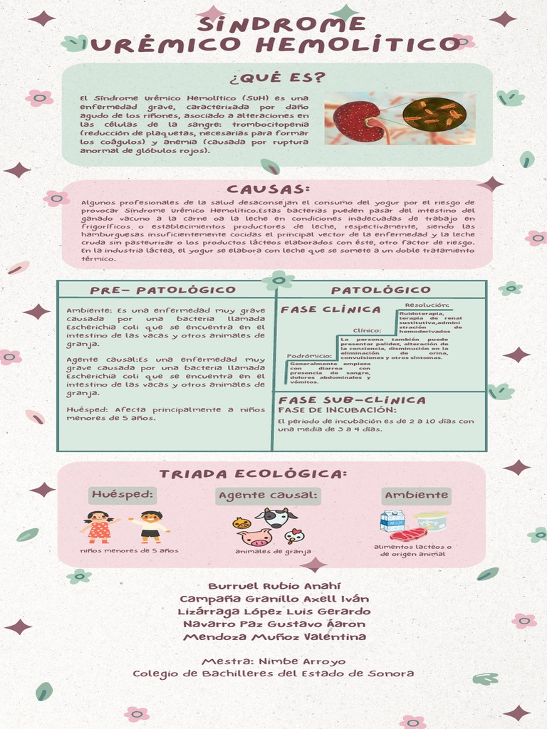 Infografía sobre el SUH | PDF