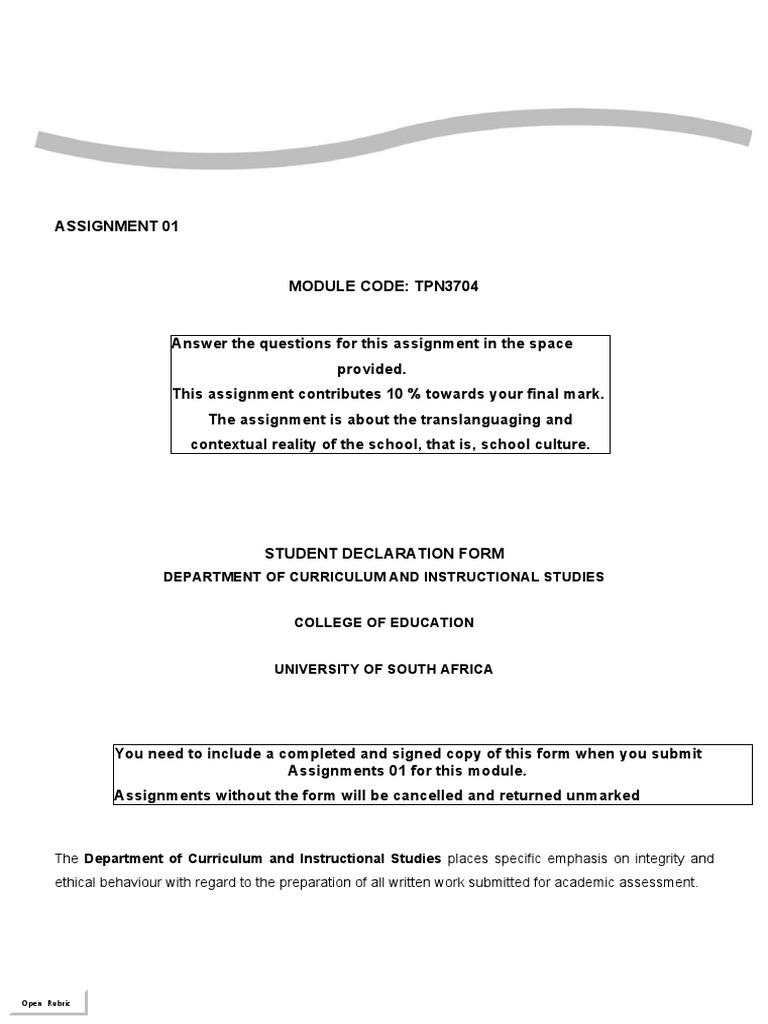 TPN3704 Assignment 1 | PDF | Plagiarism | Cognition