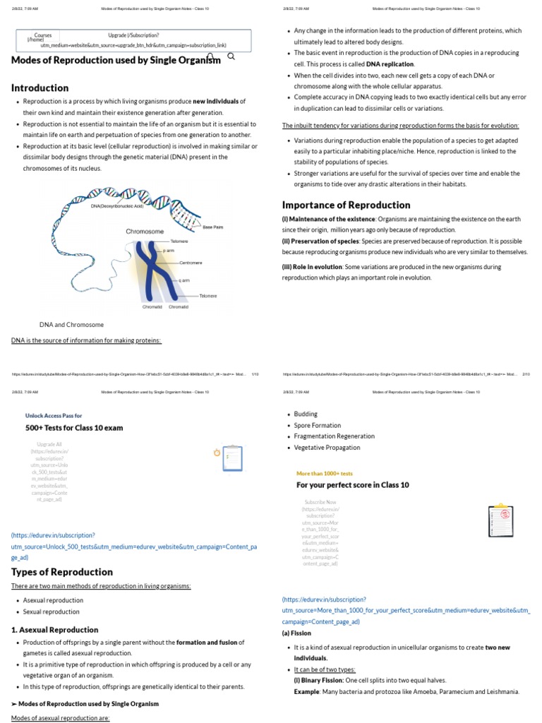 Modes of Reproduction in Single Organisms | PDF | Science & Mathematics