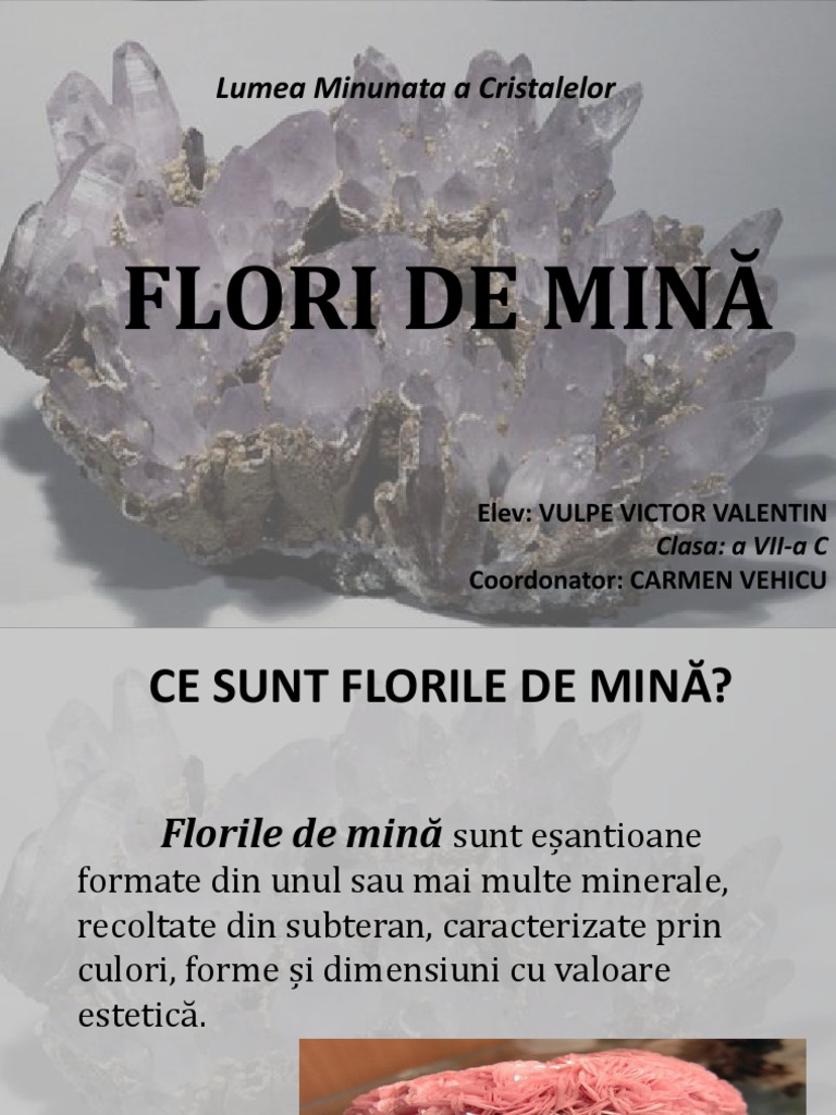 Flori de Mină PDF | PDF