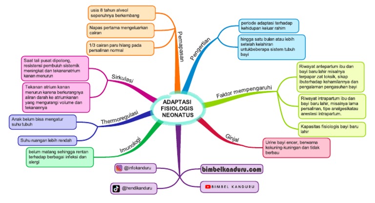 ADAPTASI FISIOLOGIS NEONATUS | PDF