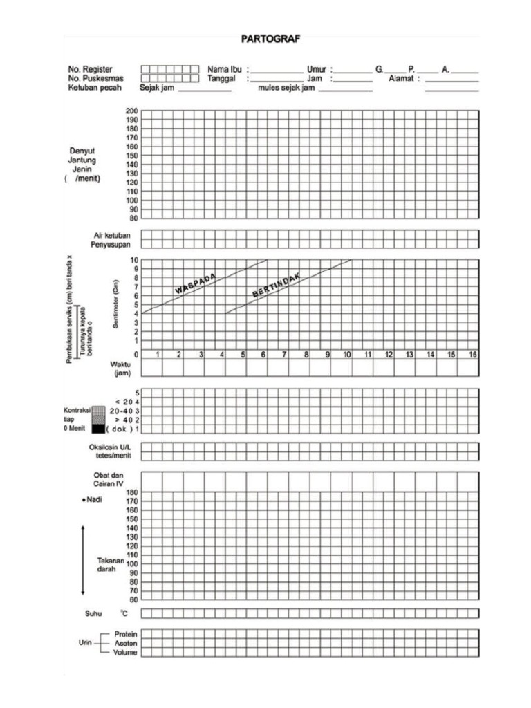 Lembar Partograf | PDF