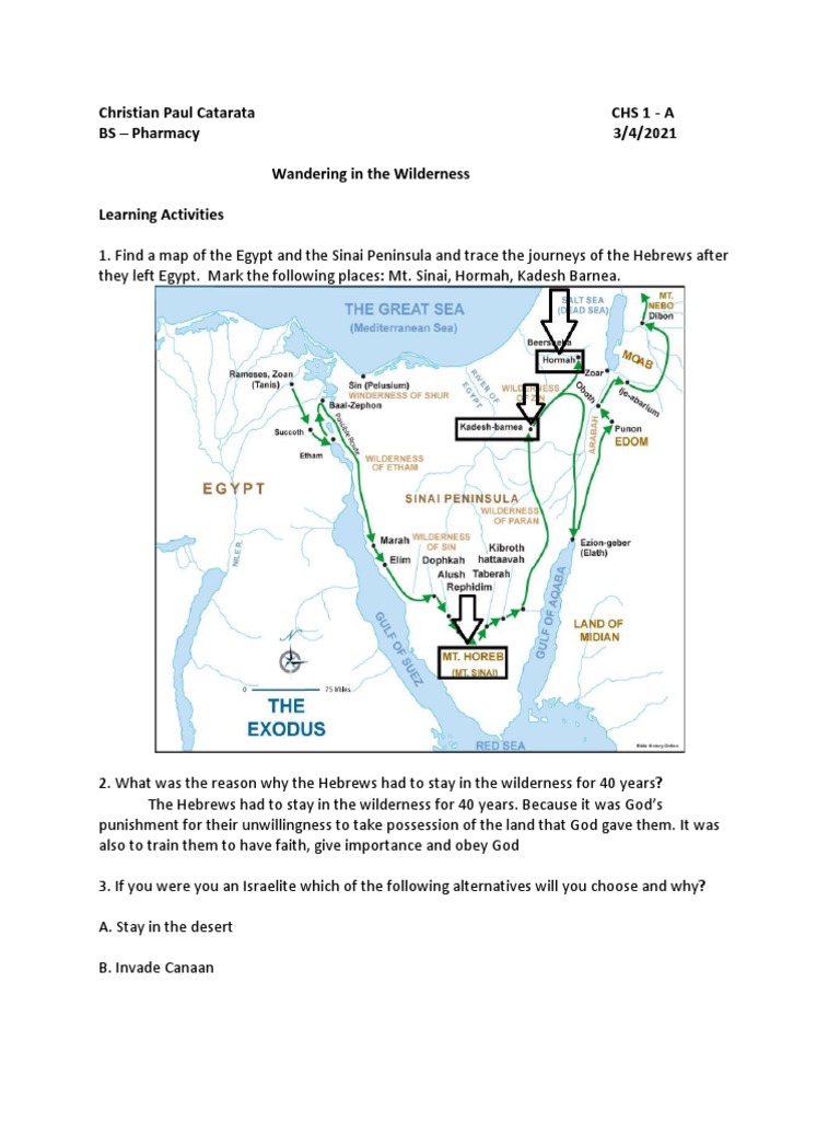 Wandering in The Wilderness | PDF