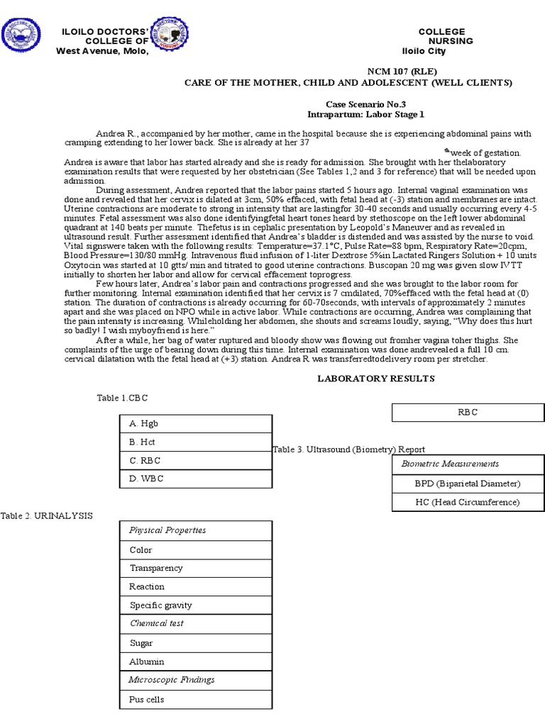 Case-Scenario-No.-3-Intrapartum-Labor-Stage-1 | PDF | Childbirth ...