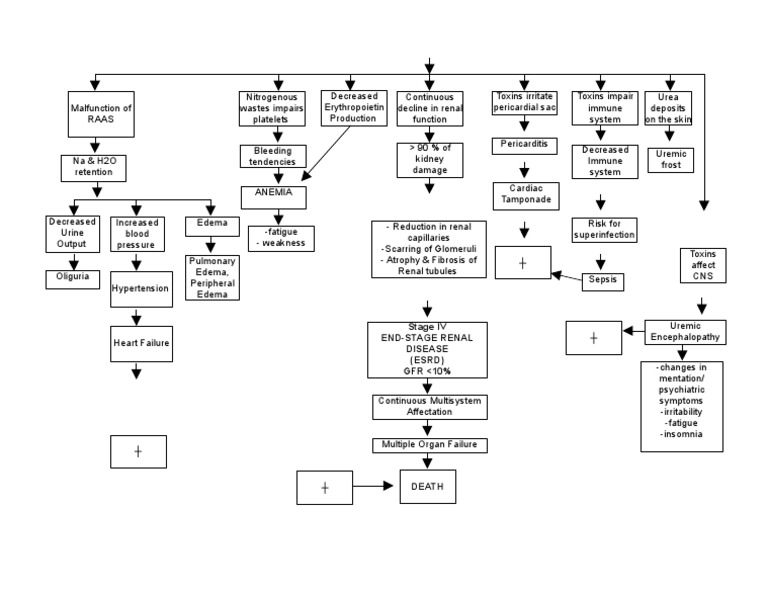 Pathophysiology of Chronic Renal Failure (Condensed) Part 2 | PDF ...