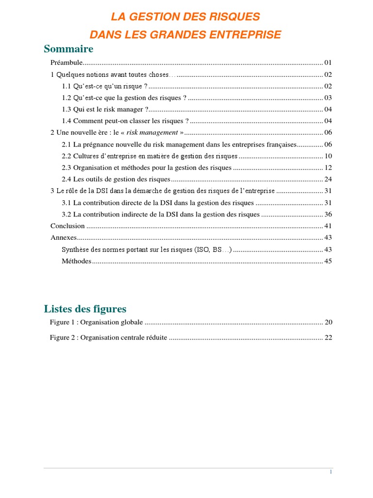 La Gestion Des Risques | PDF