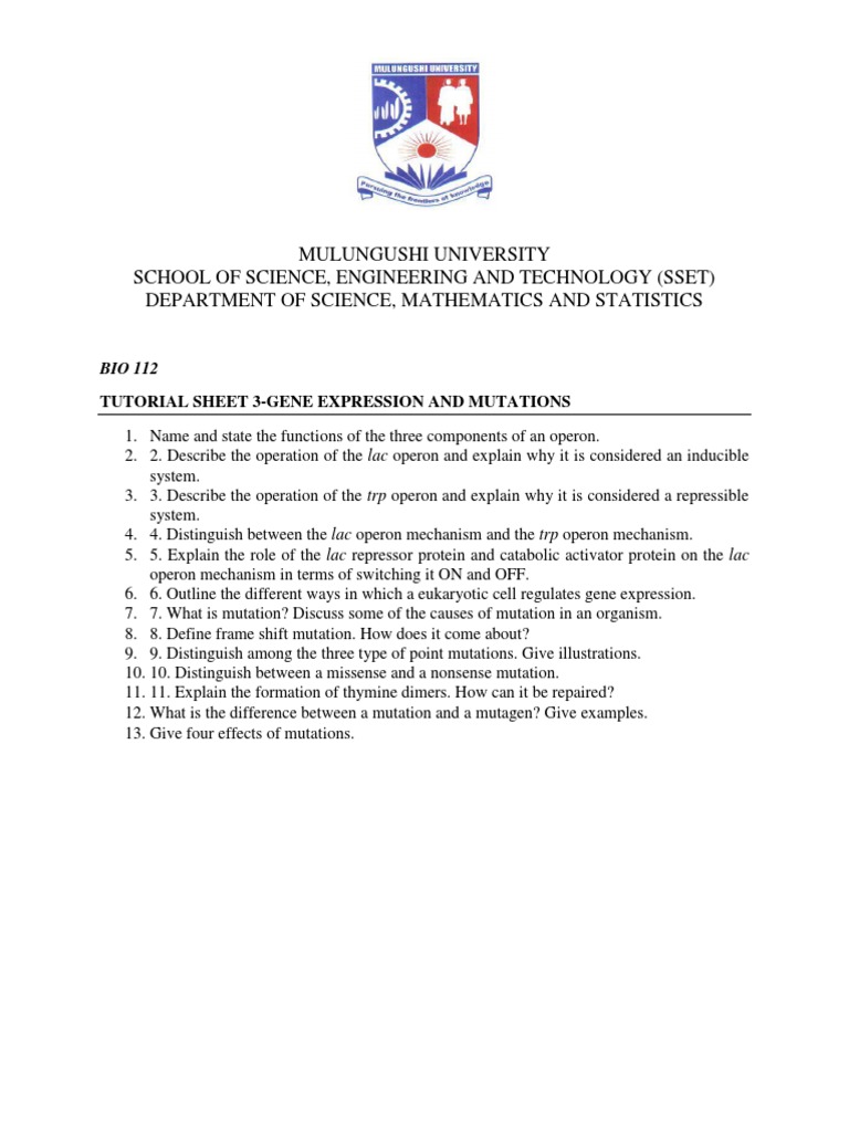 Tutorial Sheet-3 Gene Expression | PDF | Science & Mathematics