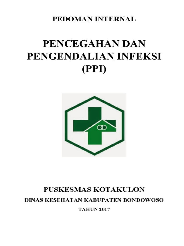 PEDOMAN INTERNAL PPI New | PDF