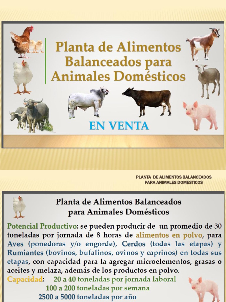 Planta de Alimentos Balanceados para Animales ABA | PDF