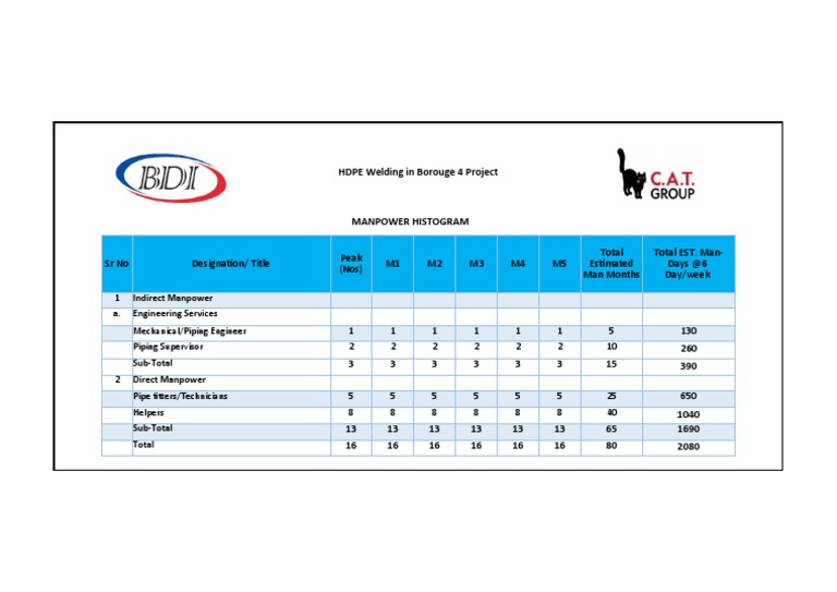 Manpower Histogram | PDF