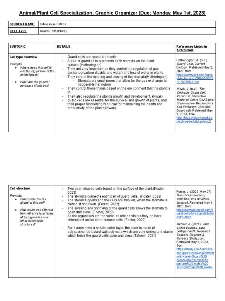 1 - Animal - Plant Cell Specialization - Graphic Organizer Template ...