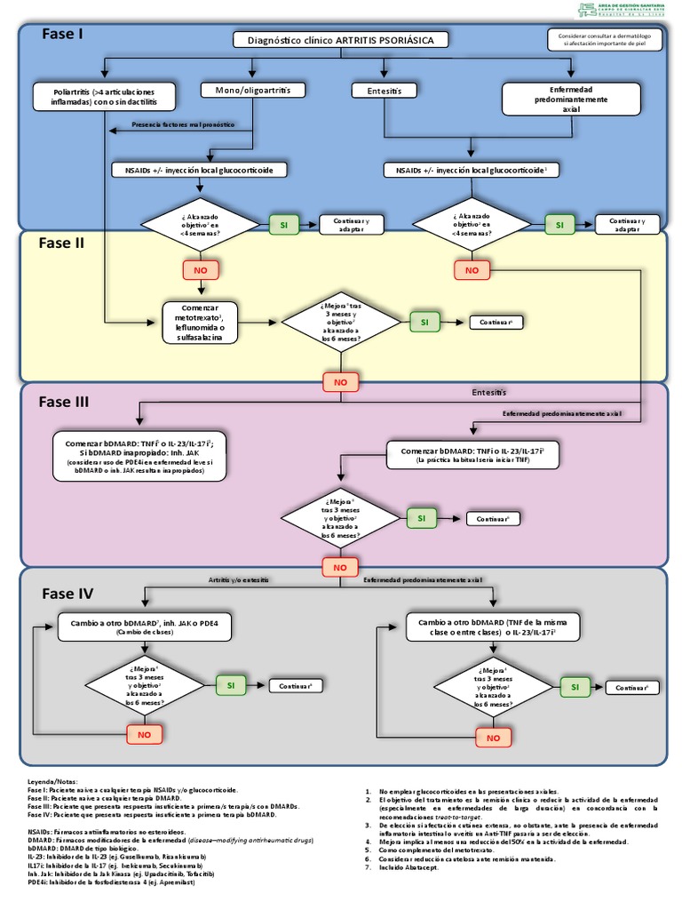 Psa Recomendacion Eular 2022 | PDF | Droga anti-inflamatoria libre de esteroides | Artritis ...