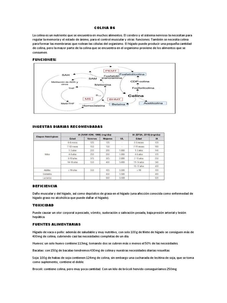 Beneficios y Fuentes de Colina | PDF | Cocina, comidas y vino | Salud y ...