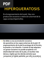 Anatomia Del Pie | PDF | Pie | Morfología (biología)