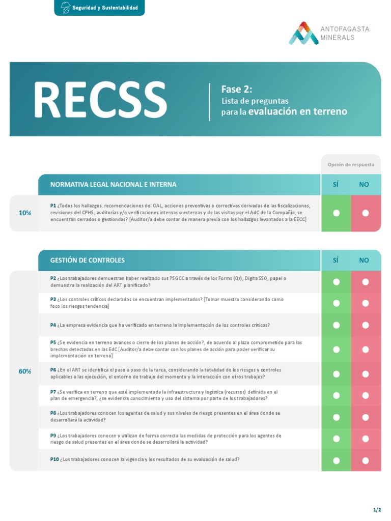 Hojas de Preguntas RECSS | PDF