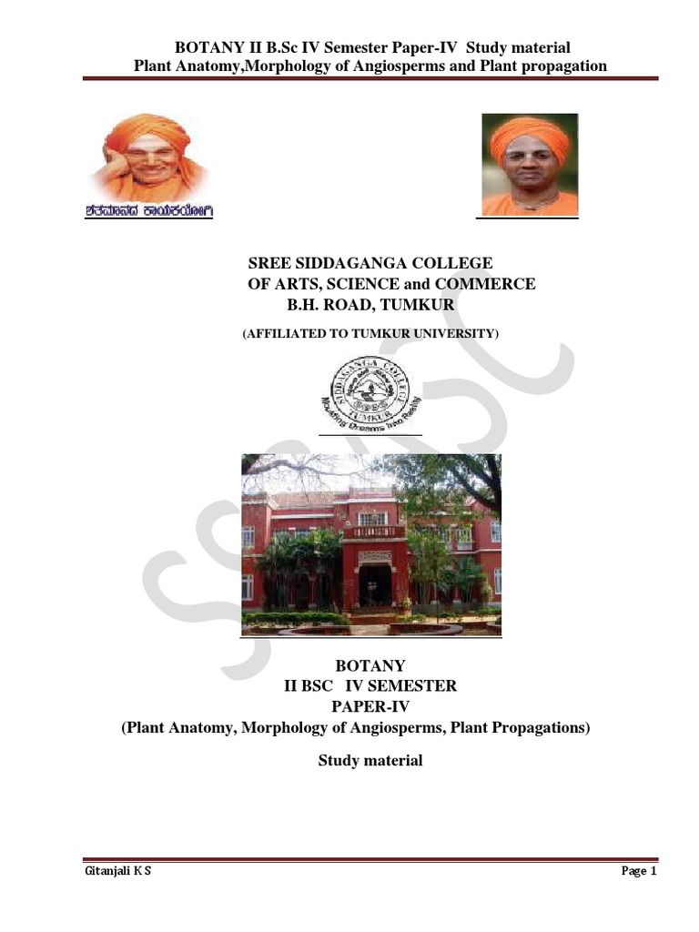 4th Sem Botany P IV | PDF | Leaf | Tissue (Biology)