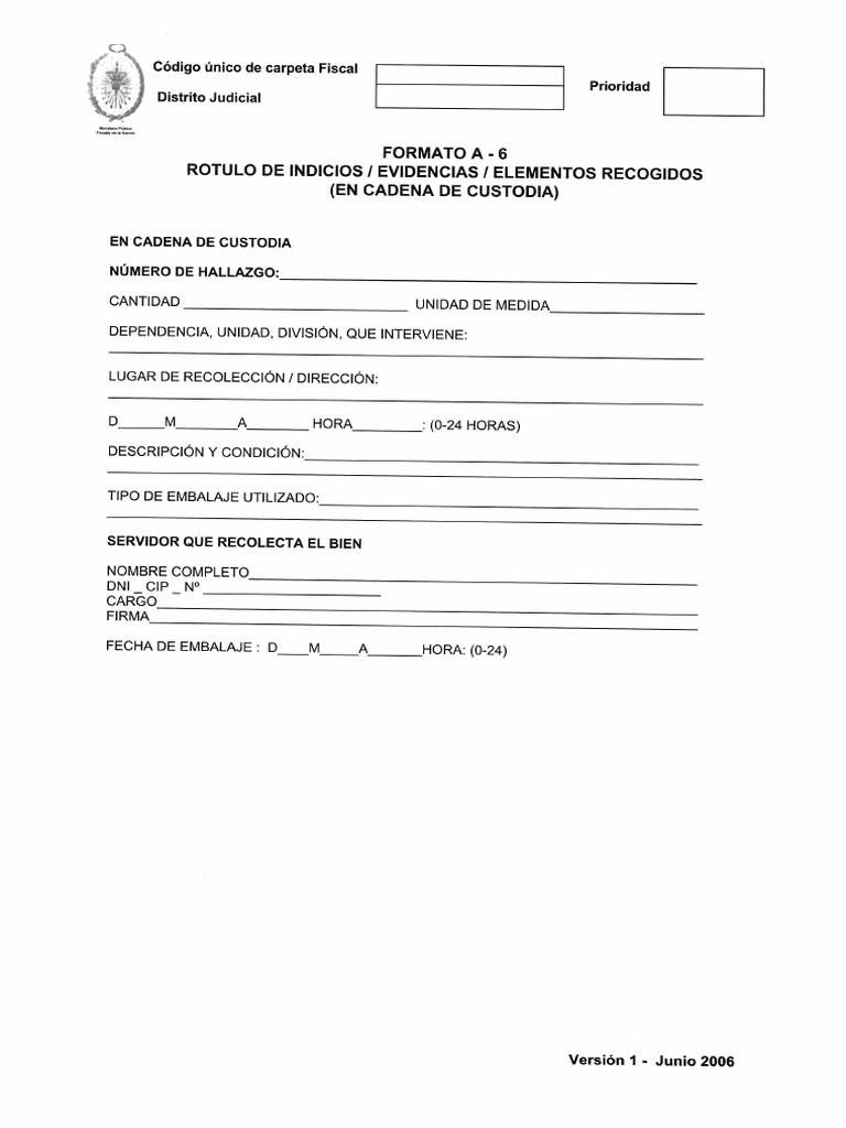 Formato A6 A7 Cadena Custodia | PDF