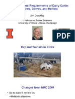 Dairy Cattle Ration Formulation Guide | PDF | Dairy Cattle | Dairy Farming