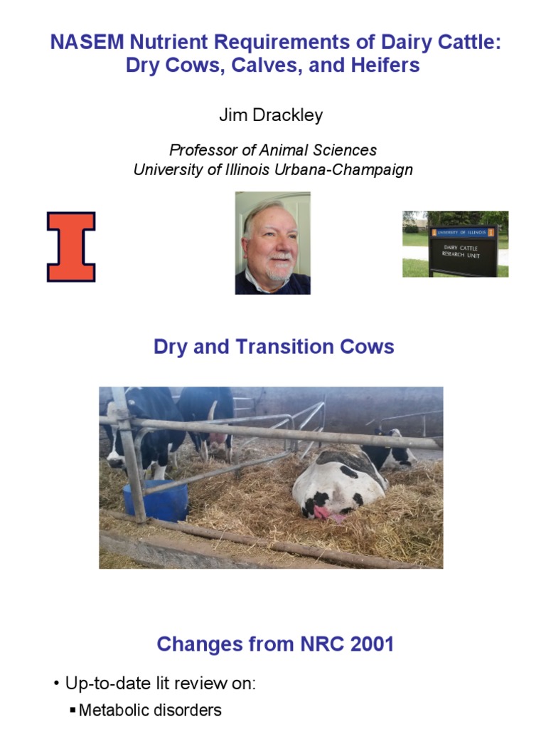 Drackley 2021 NRC Dry Cows Calves and Heifers | PDF | Cattle | Milk