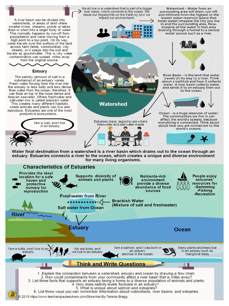 Watersheds River Basinsand Estuary Inforgraphic | PDF
