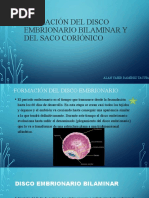 Equipo 3 Formación de La Cavidad Amniótica, Disco Embrionario y ...