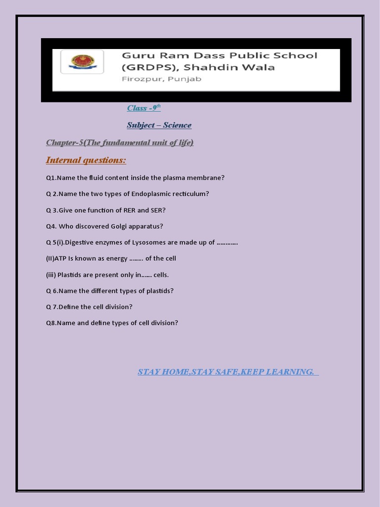 Class 9TH Science Chapter 5 Assignment 2 | PDF