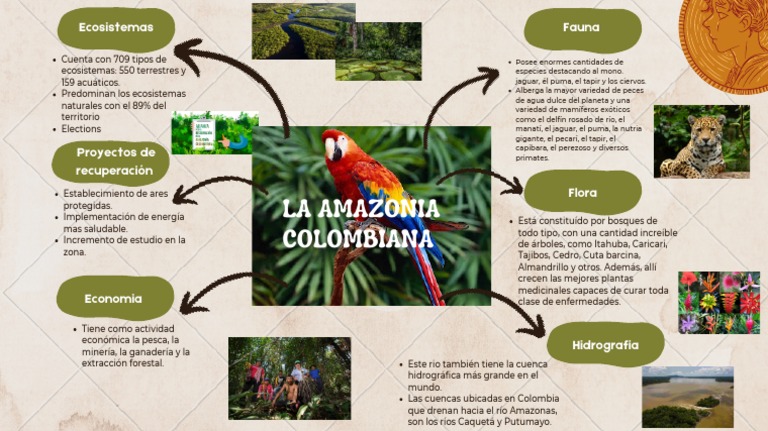 La Amazonia Colombiana-kerly Cerquera | PDF