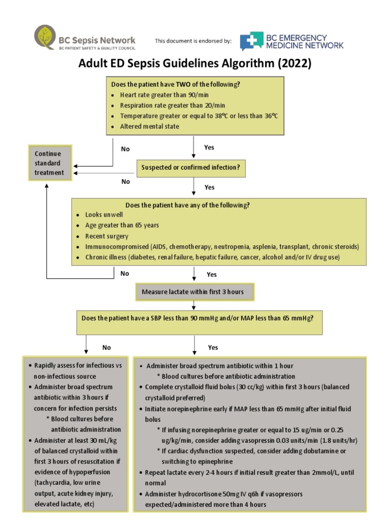 2022 BC ED Sepsis Algorithm FINAL | PDF