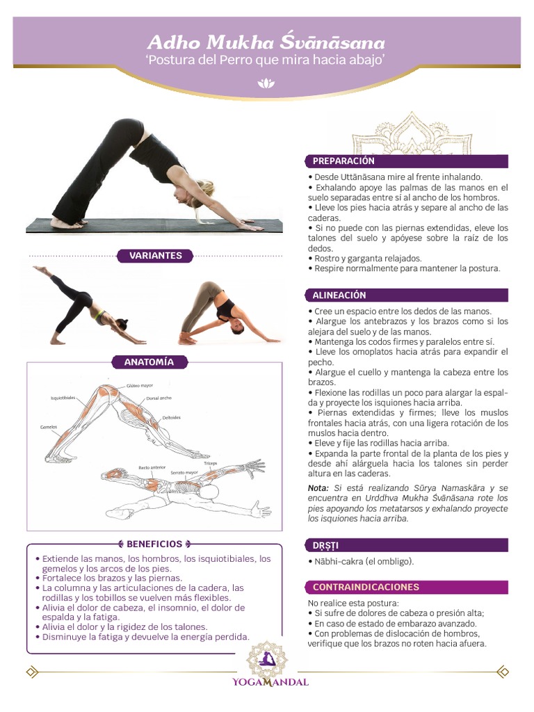 Guía de Adho Mukha Śvānāsana | PDF