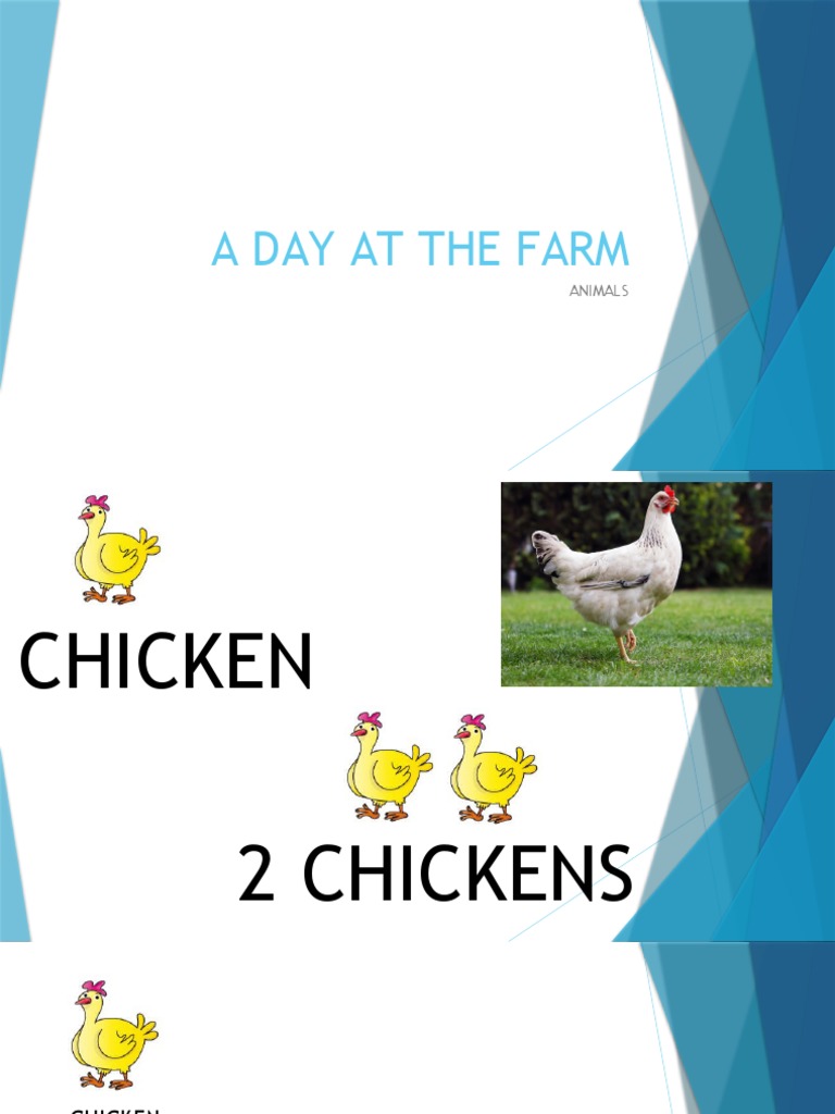 Unit 4 - Animals | PDF