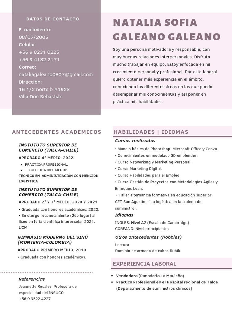 Curriculum Vitae Profesional | PDF