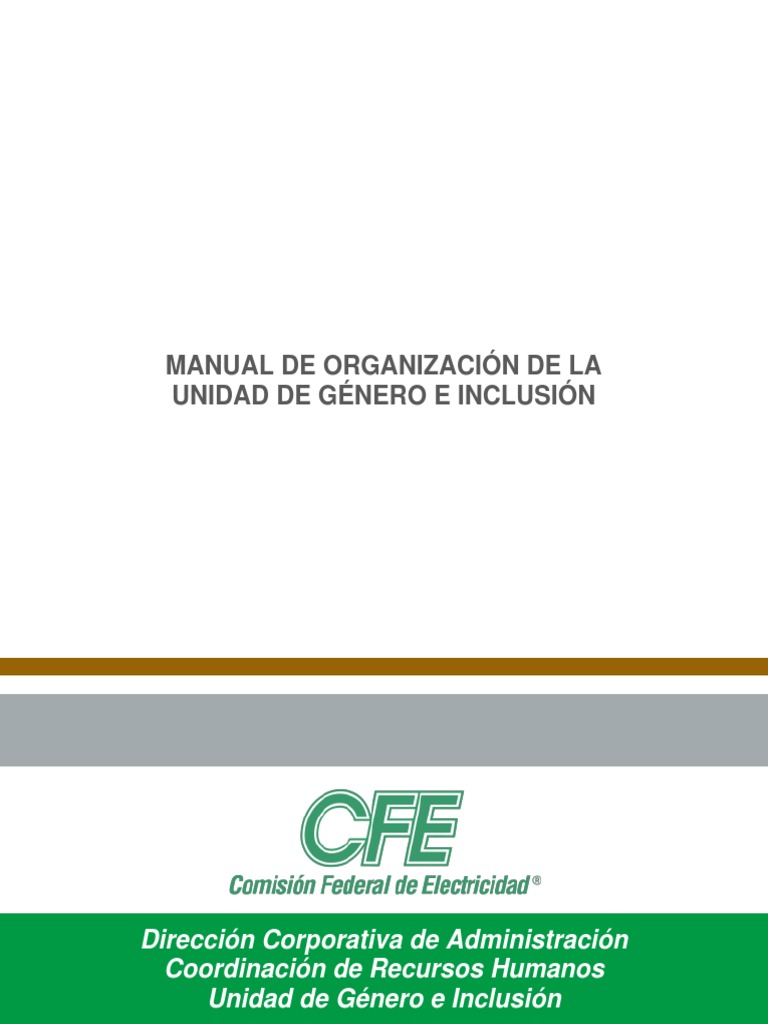 Anexo-Manual Cfe | PDF