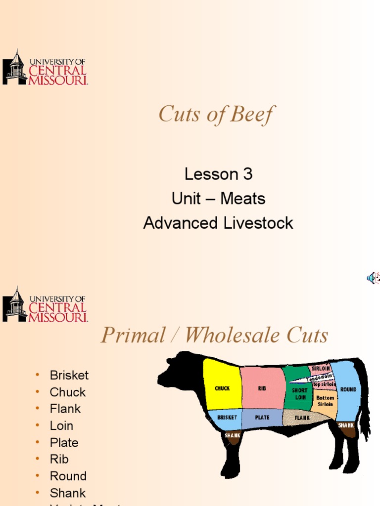 Lesson 3 - Beef Cuts - Student Notes | PDF | Chuck Steak | Steak