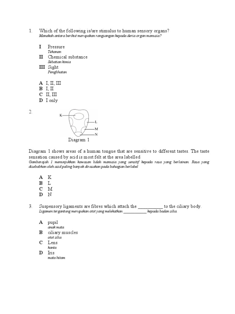 Human Sensory Organs and Digestion Quiz | PDF