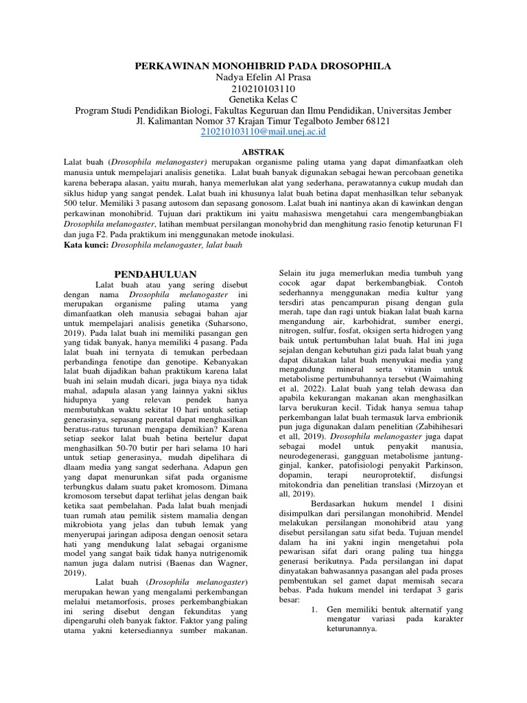 Nadya Efelin Al Prasa - 210210103110 - LS - Acara 2 (Perkawinan ...