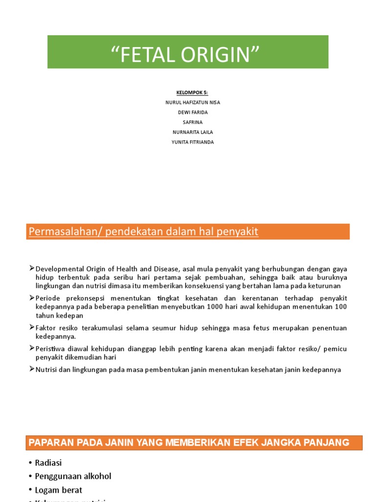 Fetal Origin | PDF