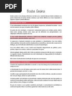Uso e Bula da Vacina VAXXON IBR | PDF | Vacinas | Vírus