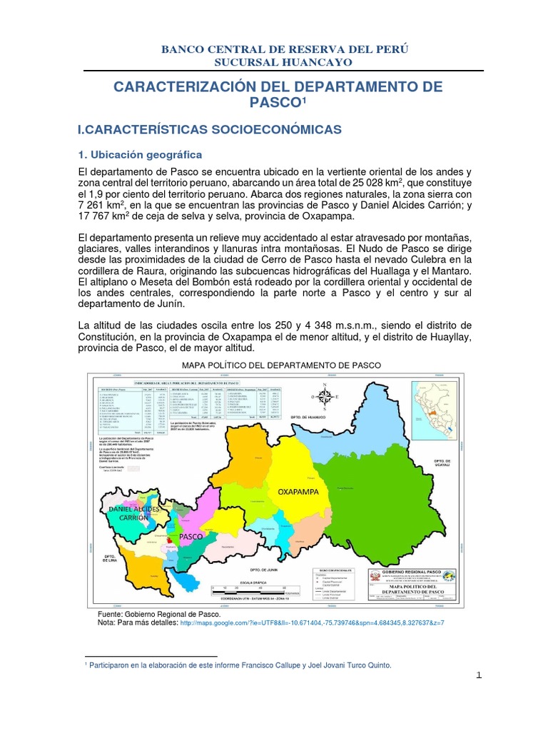 Pasco Caracterizacion | PDF